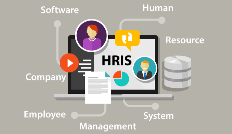 Training Online Comprehensive HRIS (Human Resources Information System ...